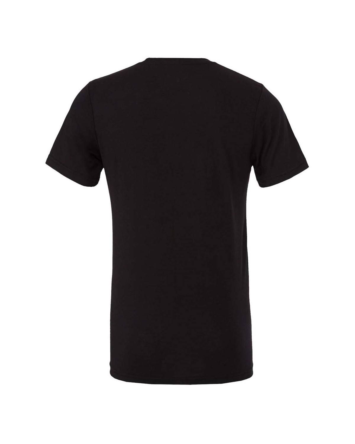 BELLA + CANVAS 3413 Triblend Tee | Bella + Canvas 3413